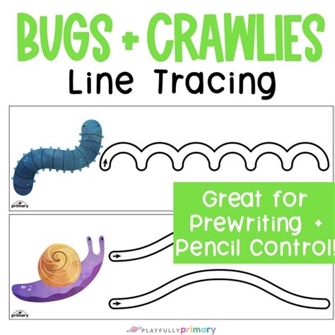 Bug Tracing Worksheets Etsy