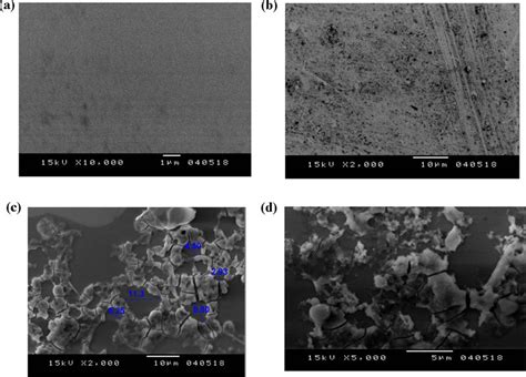 Surface Morphology Characterization By Scanning Electron Microscope