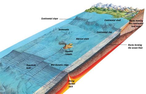 Seafloor Diagram