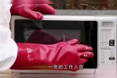 手机放入微波炉加热，会是什么下场？隔着屏幕都感受到了！ 什么 下场 屏幕