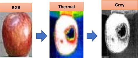 Figure 3 From Prediction Of Fruit Texture Features Using Deep Learning Techniques Semantic Scholar