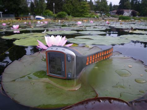 September Garmin Forerunner 310xt Giveaway Dc Rainmaker