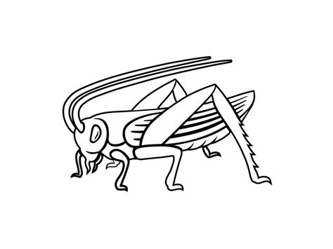 Grasshopper Vector Png Vector In Svg Pdf Ai Cdr Format