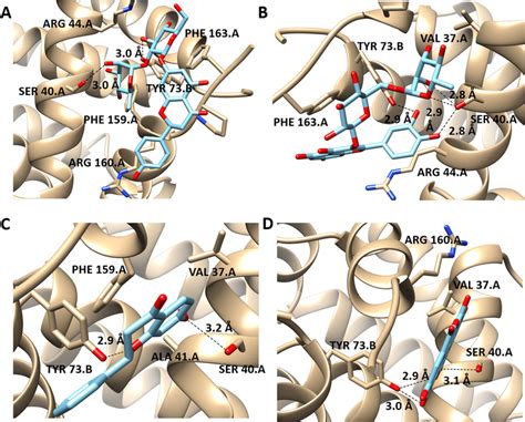 3d Docking Poses Of Naringin 1a Rutin 1b Hydroxy Flavone 1c