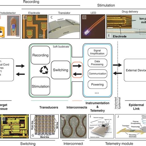 Soft Hybrid Systems For Implantable Bioelectronics Interfaces Download Scientific Diagram