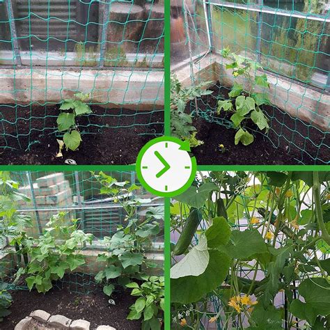 Trellis Netting For Climbing Plants Heavy Duty Garden