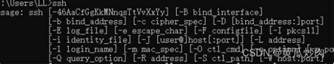 windows开启ssh服务教程 csdn博客