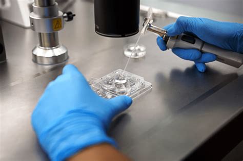 Cyprus Ivf Gender Selection And Cost Pgd Gender Selection Ivf