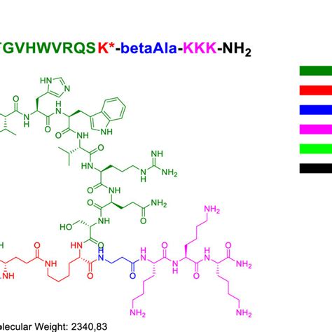 A Linear Sequence And B Cyclic Structure Of The Synthetic Peptide