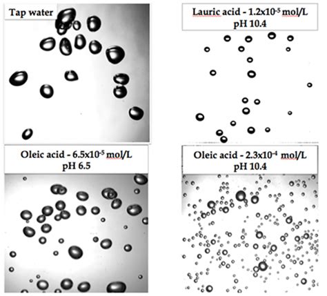 Surface Chemistry Of Fine Particle Processing Nbk Mining Institute
