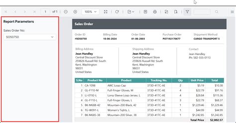 Paramter Custom Properties Angular 9 Report Viewer