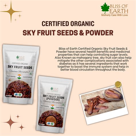 Sky Fruit Seeds Swietenia Macrophylla Mahogany Seeds Kadwa Badam 20