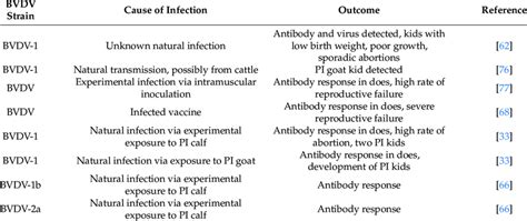 Selected Outcomes Of Natural Or Experimental Infection With Bvdv In