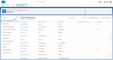Simple Salesforce Explained How To Get Started With Salesforce Fields Salesforce Ben