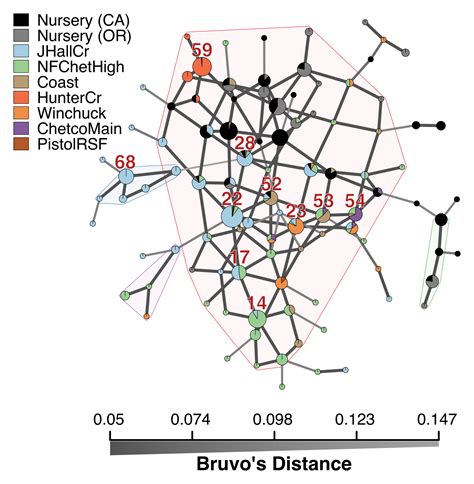 Development And Application Of Tools For Genetic Analysis Of Clonal Populations