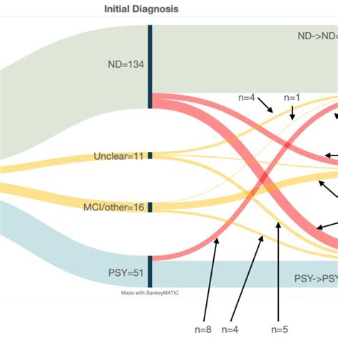 Sankey Diagram Of Diagnostic Journey Download Scientific Diagram