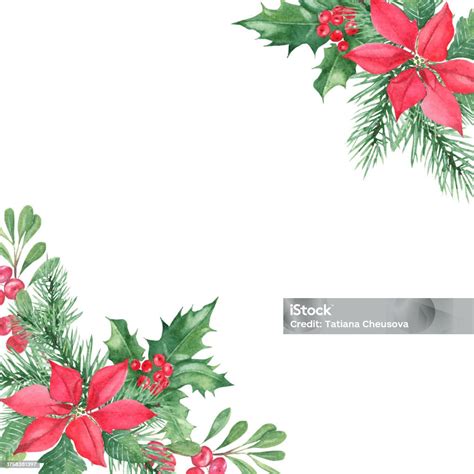 크리스마스 사각형 프레임 모서리 꽃다발과 테두리 빨간 열매 포인세티아 카우베리 링곤베리가 있는 홀리 식물 새해와 크리스마스의 상징 수채화 손으로 그린 그림은 흰색 배경에
