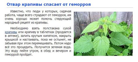 Кровотечение при геморрое: лечение и советы как остановить