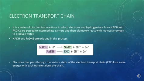 Biochemical Energy Production Biochempptx