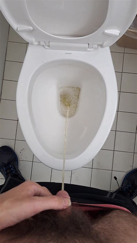 Pee In Australian Throne In Hotel Room Thisvid Com