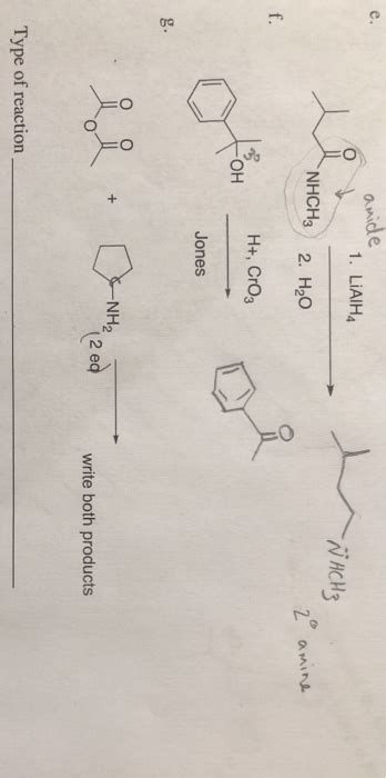 Solved Amide 1 Liaiha M J Ach3 Nhch3 2 H2o 2° Amine H