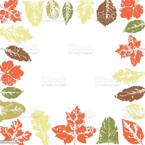 말린 단풍의 프레임 단풍 나무 참나무 자작 나무 가문비 나무 가지 및 기타 인쇄물 스탬프 0명에 대한 스톡 벡터 아트 및 기타 이미지 Istock