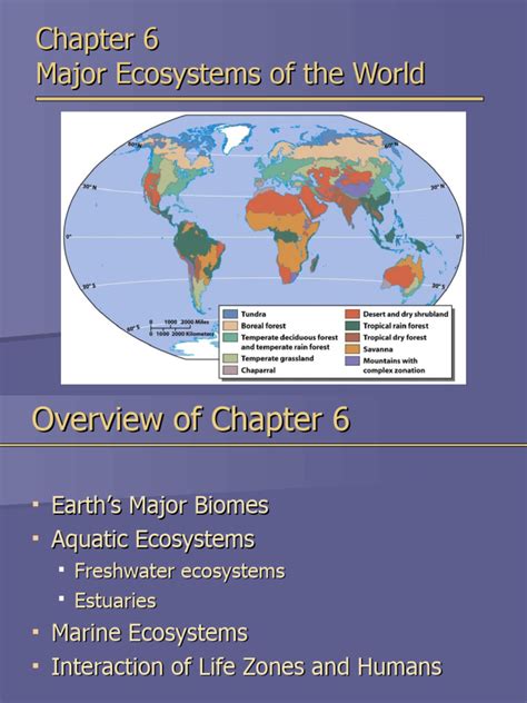 rav7e ch06 lecture modified pdf