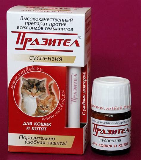 Фиприст для кошек: инструкция по применению, показания и ...