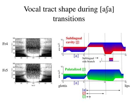 Ppt Modeling Formant Transition Patterns In Vcv Sequences Powerpoint Presentation Id 5690195
