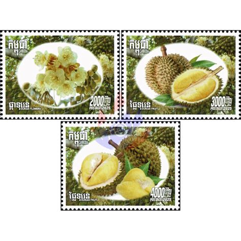 Durian Frucht Durio Zibethinus