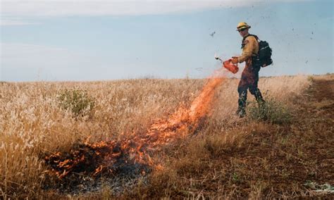 🔥chico Fire Is Assisting With Chico Regional Airport With Vegetation Management On Airport