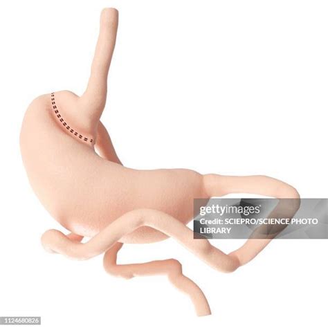 129 Bypass High Res Illustrations Getty Images