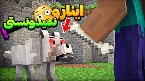 نکاتی که احتمالا راجب گرگ ها توی ماینکرفت نمیدونید پارت 2 Youtube