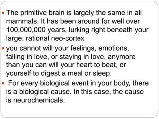 YOUR BRAIN AND SEX Ppt