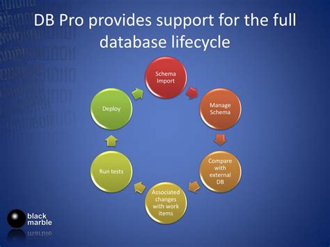 PPT Development Life Cycle Using Visual Studio Team Edition For DB Professionals PowerPoint