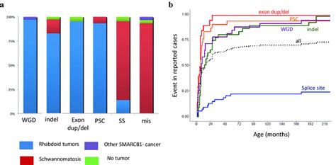 epidemiological features of smarcb1 pathogenic variants pvs based on