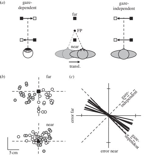 Gaze Dependent Updating During Translational Body Motion A If
