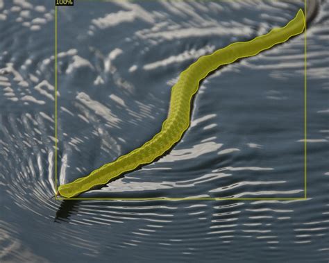 GitHub Neovasudeva Snake Detector Snake Using Detectron S Mask R CNN To Detect The