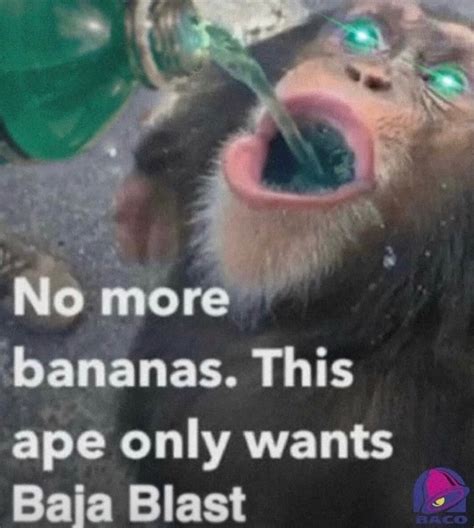 Home Of The Funky Monkeys Probably Follow Monkeyposting