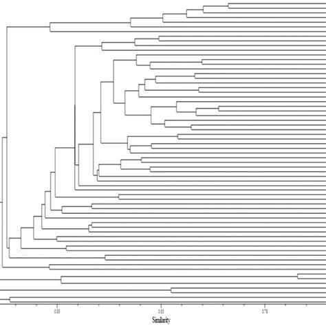 amplified fragment length polymorphism aflp similarity dendrogram of