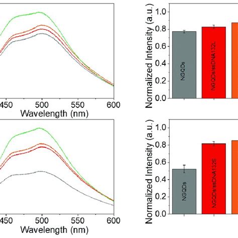 The Detection Of Loop A And Stem B Of Pre Mir 132 And Its Ssdna
