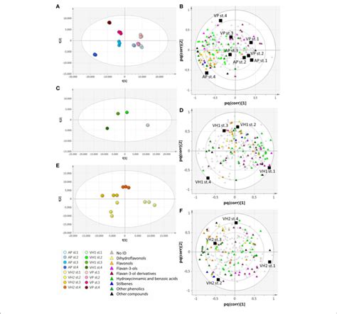O2pls Da Score Plots And Correlation Loading Plots For The