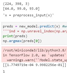 Vastly Different Results When Running The Tensorflow Or Tensorrt Models Issue NVIDIA