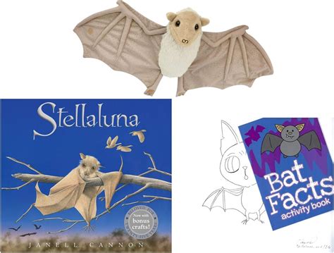 Stellaluna T Set Special Edition Hardcover By Janell