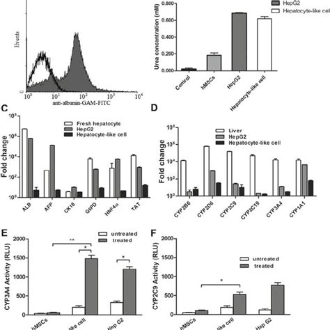 The Expression Of Hepatocyte Selective Markers And Functions The