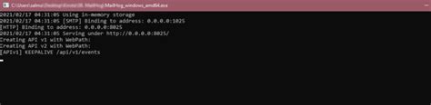 mailhog how to use it to test emails locally
