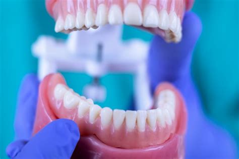 Premium Photo The Doctor Holds A Model Of The Jaw And Shows Damage To