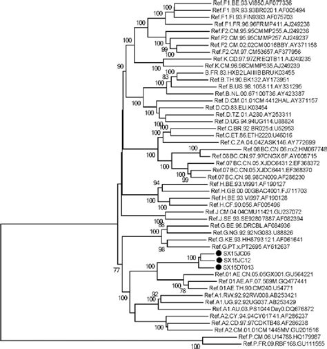 Table 1 From Genome Sequence Of A Novel Hiv 1 Circulating Recombinant