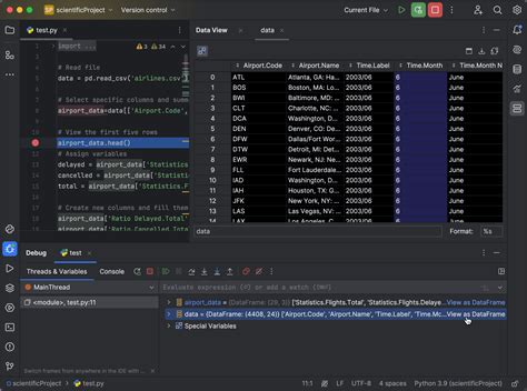 Examine Suspended Program PyCharm Documentation