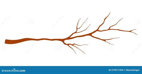 Tree Branch Twig Hand Drawn Illustration Stock Vector Illustration Of Element Natural